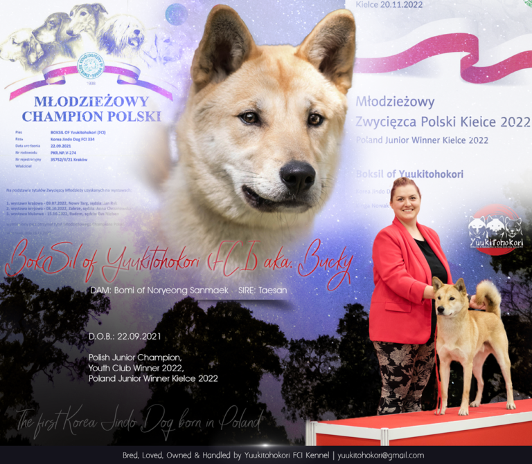 ♂ BokSil of Yuukitohokori (FCI) - Yuukitohokori (FCI) Kennel – Hodowla ...